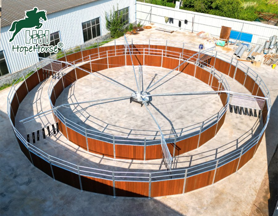 Horse Training Walker