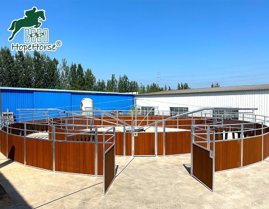 Horse Training Walker