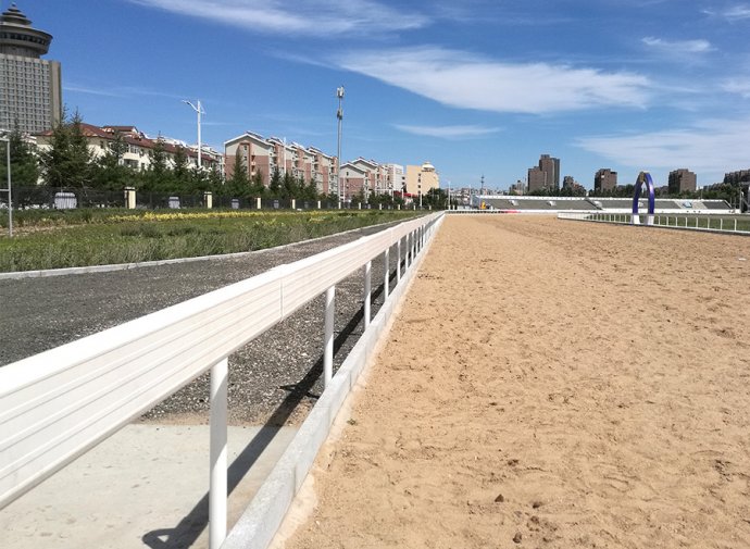 Horse Racing Rail
