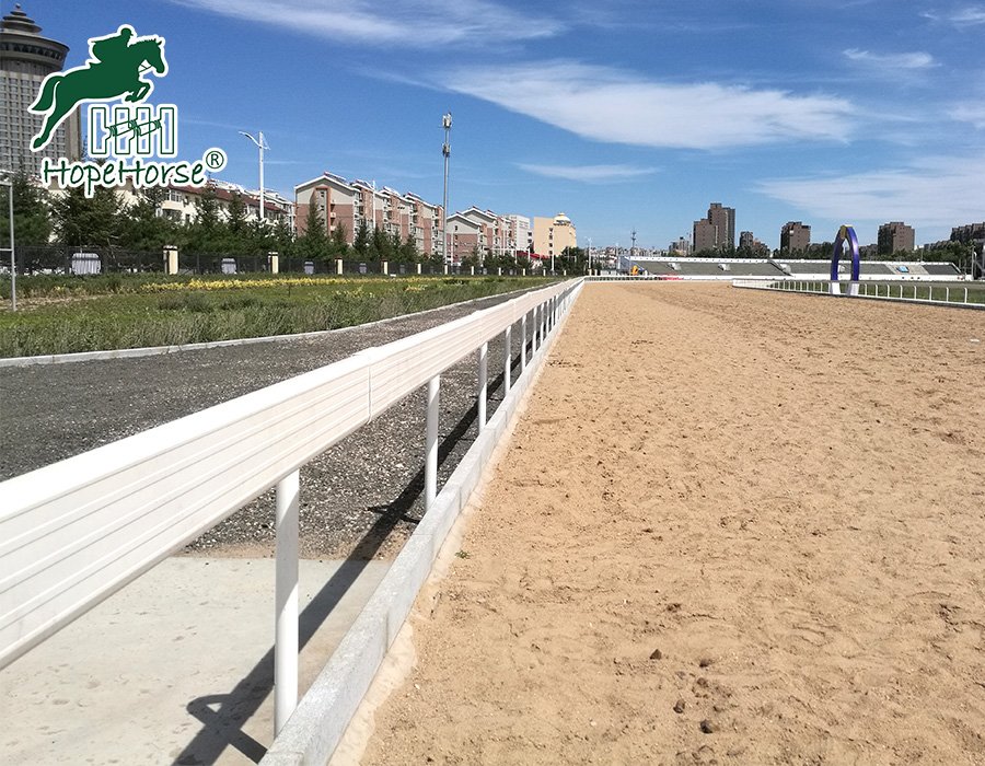 Horse Racing Rail