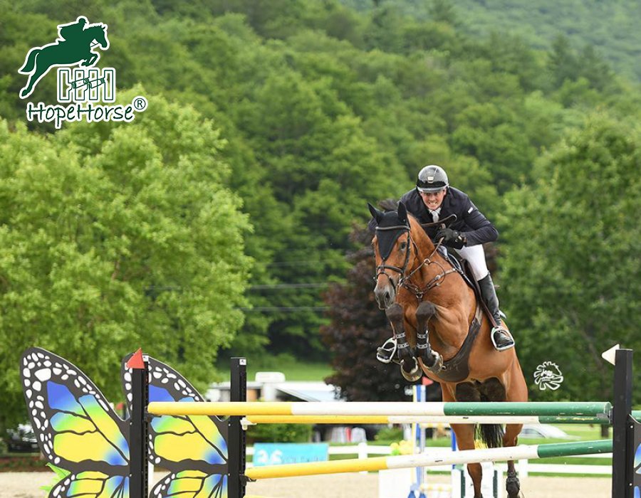 Hopehorse Butterfly Jump Standards, Equestrian Jumps & Horse Jump ...