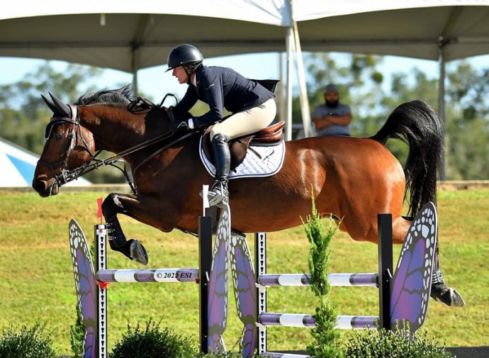 Hopehorse Butterfly Jump Standards, Equestrian Jumps & Horse Jump ...